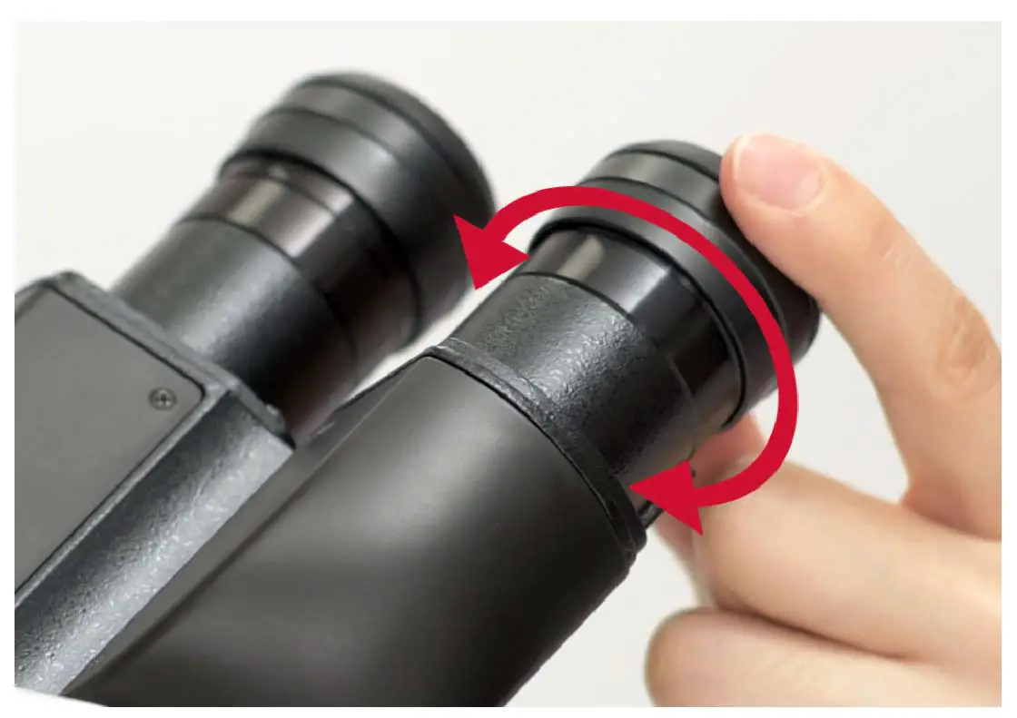 部分立体显微镜(解剖显微镜)-标签图，功能，和如何使用它 - 开云体育全站登录平台